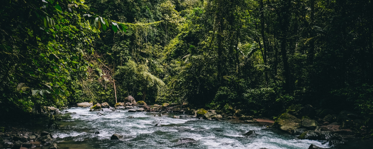 Published October 27, 2021 • Updated April 22, 2022